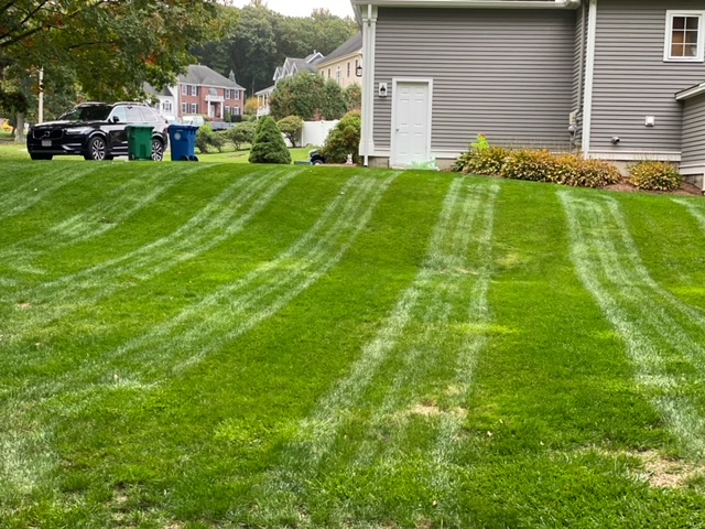 Weekly Lawn Maintenance - Another Level Landscape & Design